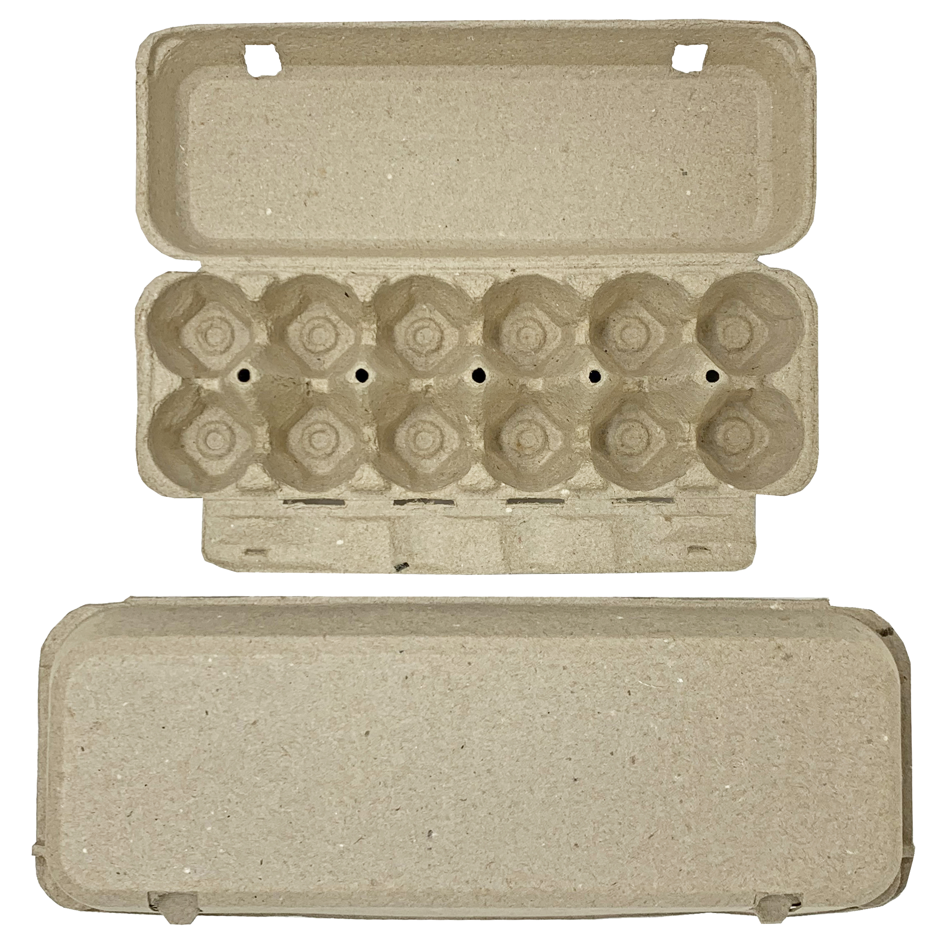 Unprinted Egg Cartons – Eggspress Yourself
